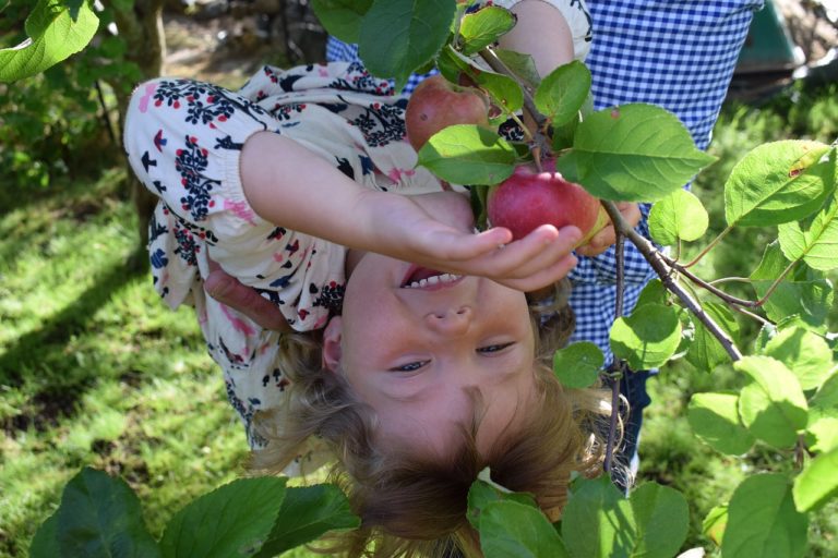 Tolle Ideen zum Thema Apfel • Kindergarten Ideen