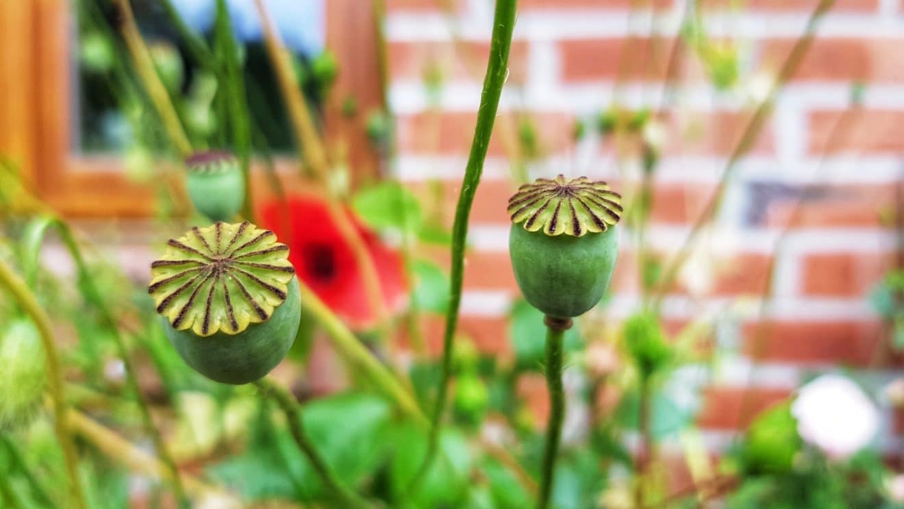 Erde, Ton und Lehm • Übersicht • Kindergarten Ideen