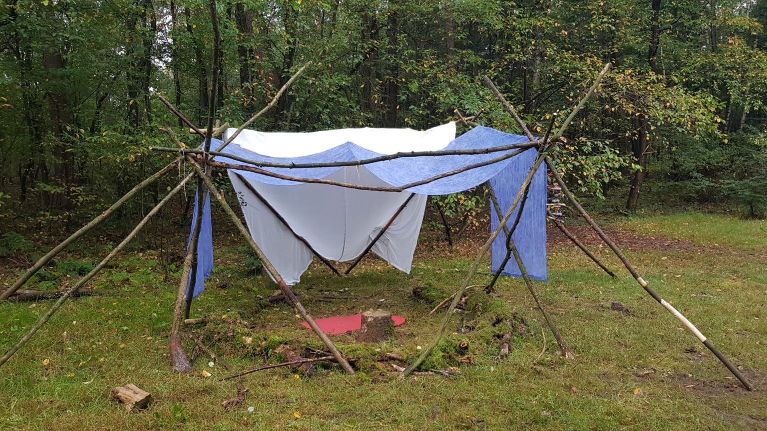 Tolle Ideen zum Thema Wald • Kindergarten Ideen