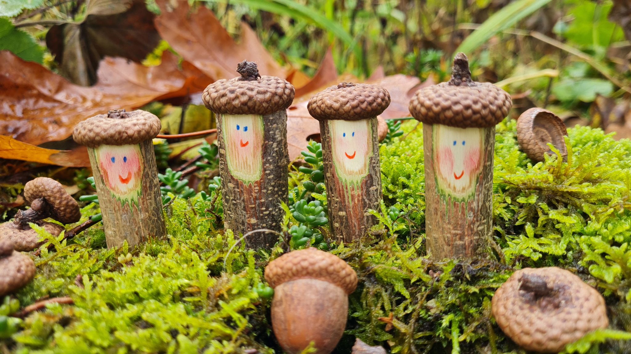 Wald • Übersicht • Kindergarten Ideen